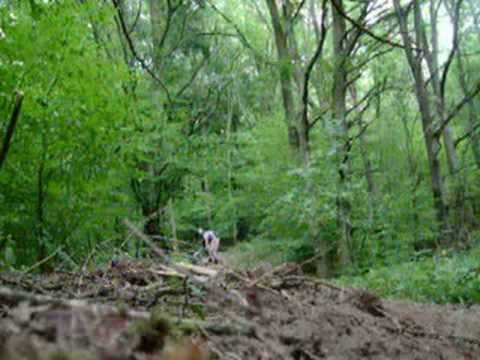 nossie's kleines Movie