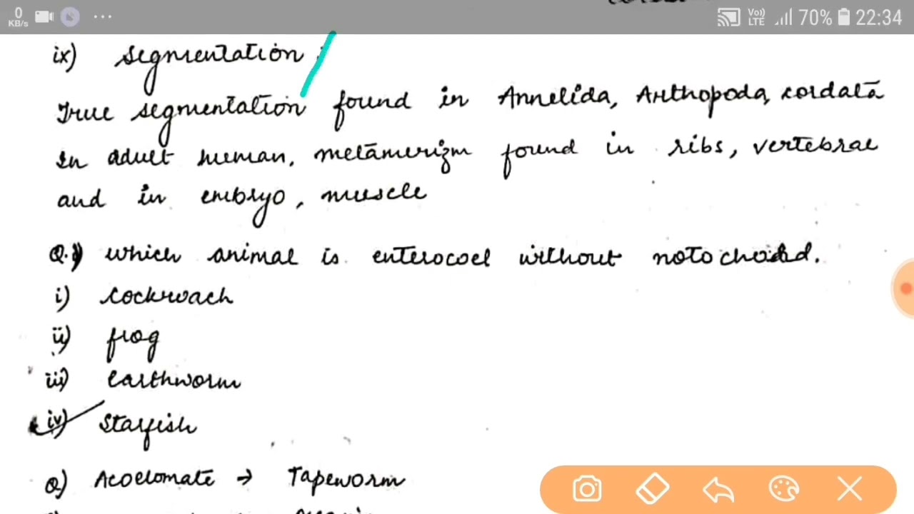 Metameric Segmentation|Animal kingdom|Class 11|Neet - YouTube