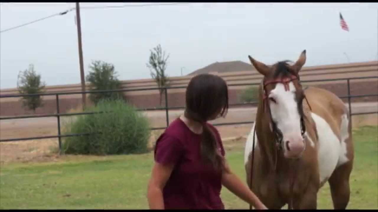 Long Hard Ride- First Time Bareback - YouTube