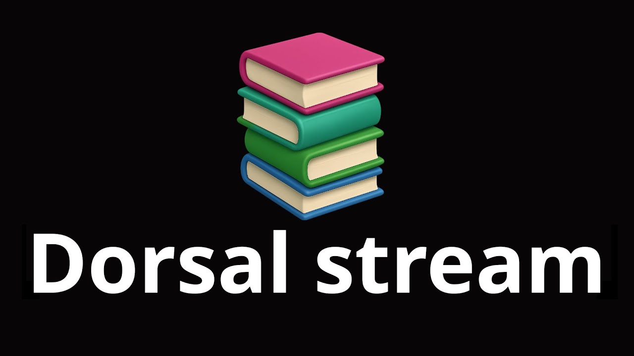 Dorsal and ventral streams (visual processing) - YouTube
