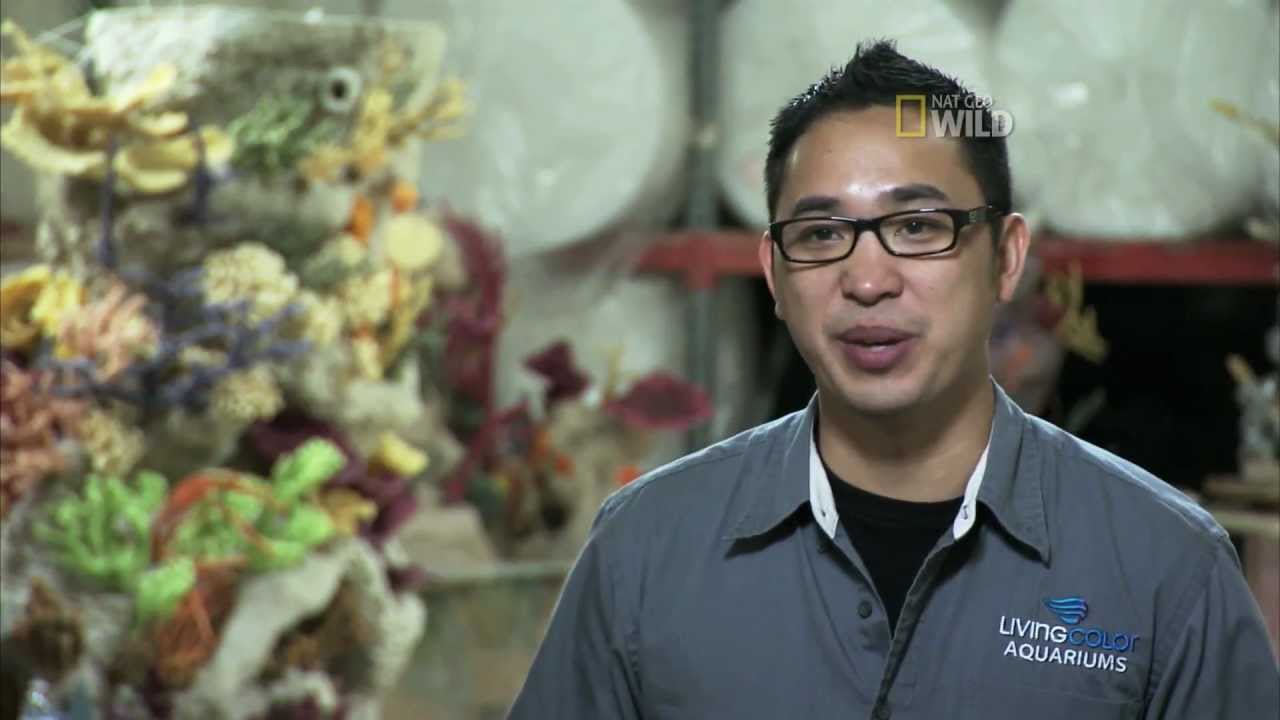 Fish Tank Kings at Miami Seaquarium - YouTube