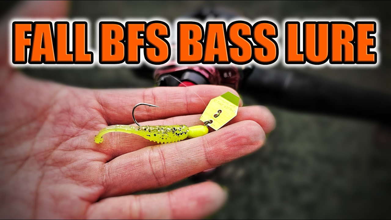 Easy BFS Bass Fall Fishing Lure: Z-Man Chatterbait Flashback Mini with ...