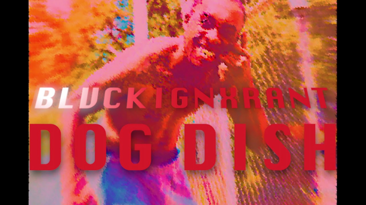 Ty Syama - Dog Dish (prod. by Blvckignxrant) - YouTube