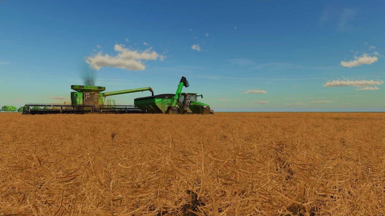 Harvesting the Canola! | Red River, Manitoba | EP 10 | FS22 | Timelapse ...