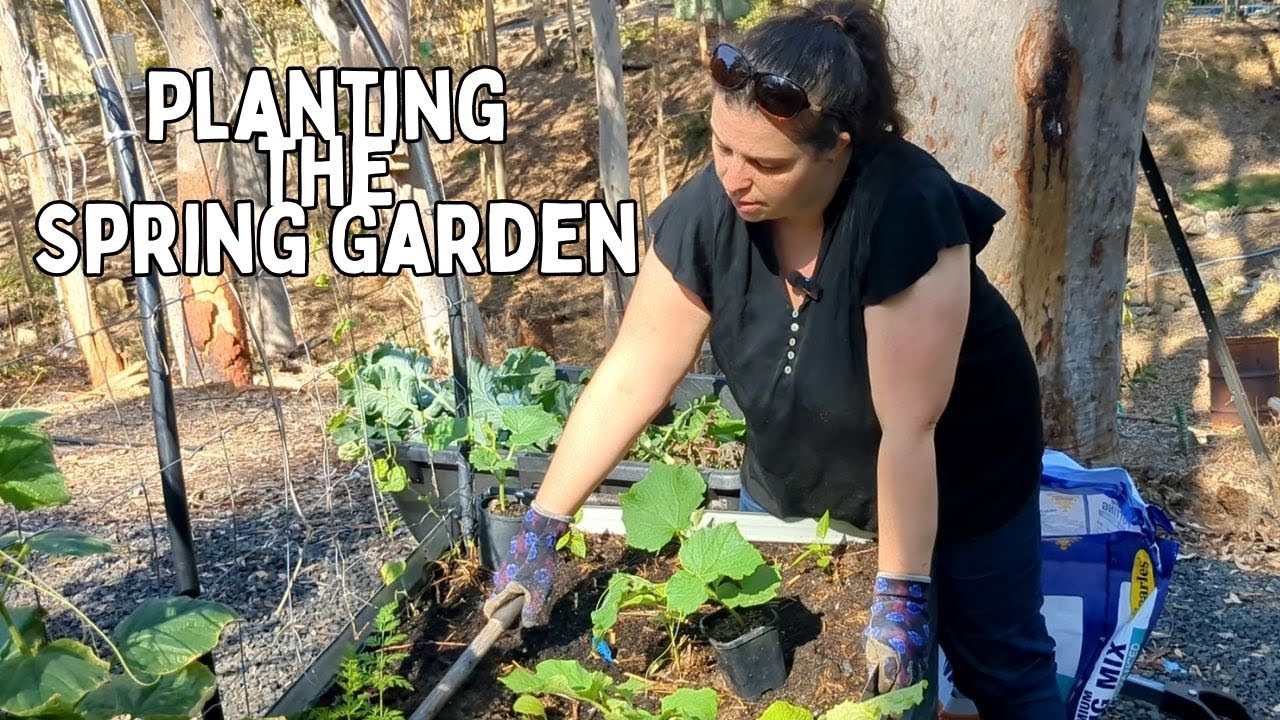 Planting the Spring Vegetable Garden | Australia 2023 - YouTube