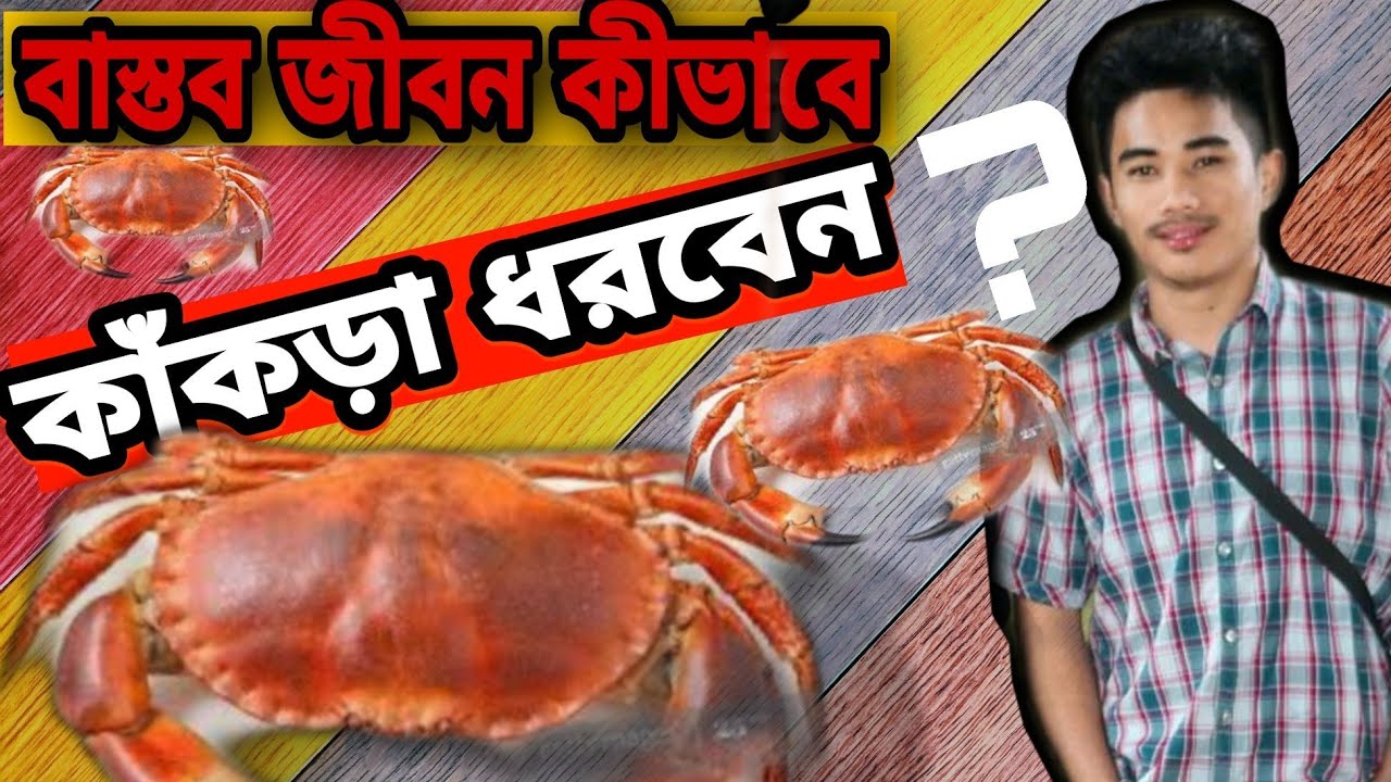 In reality, how to catch Kakra - YouTube