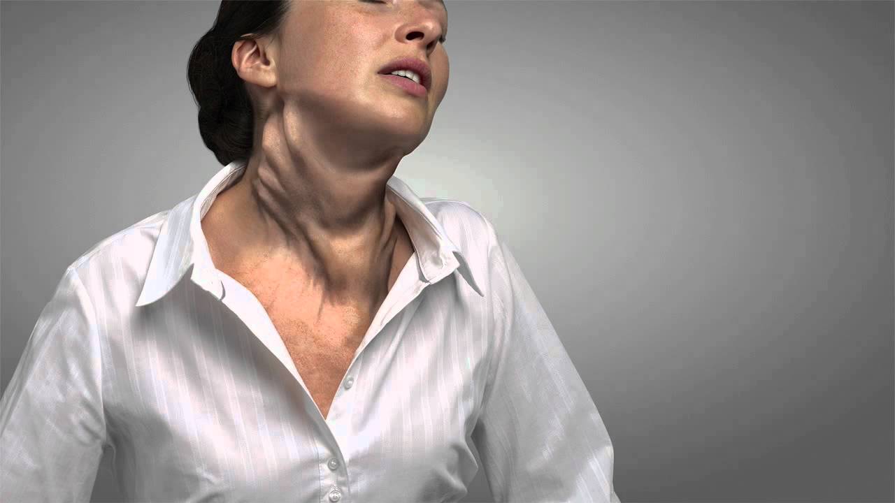 Taylor James - How its Made: DYAX CORP - Kalbitor - Neck - YouTube