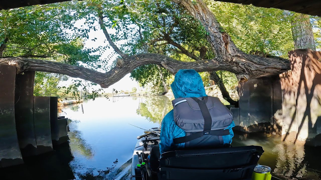 Bass Fishing a Narrow River for HUNGRY Bass on the California Delta ...