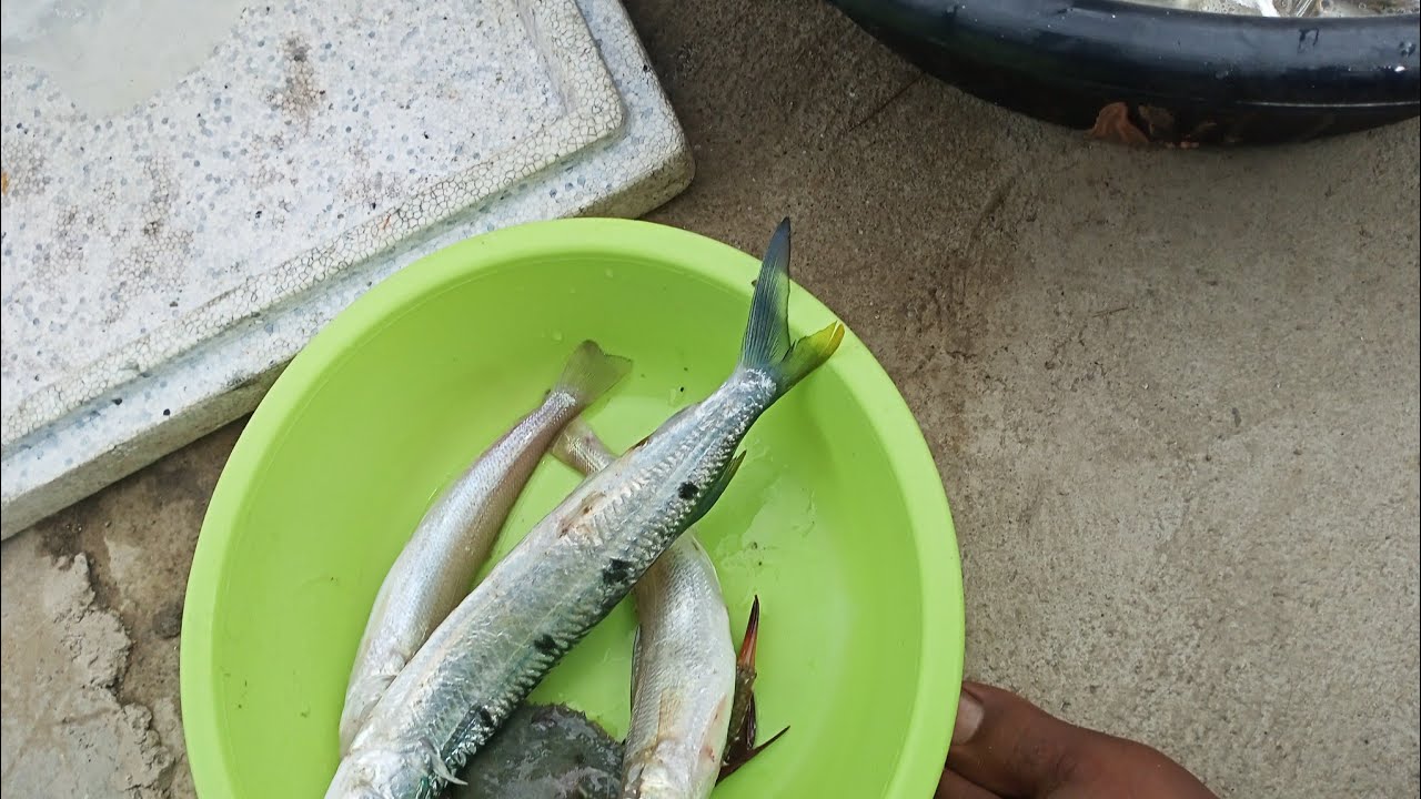 Namutla ang isang kasama namin kaya hindi kami nakatapos sa pangisda ...