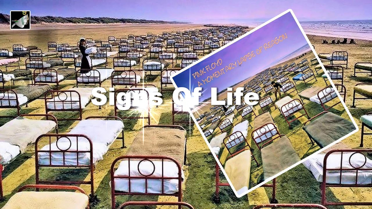 Signs Of Life - YouTube