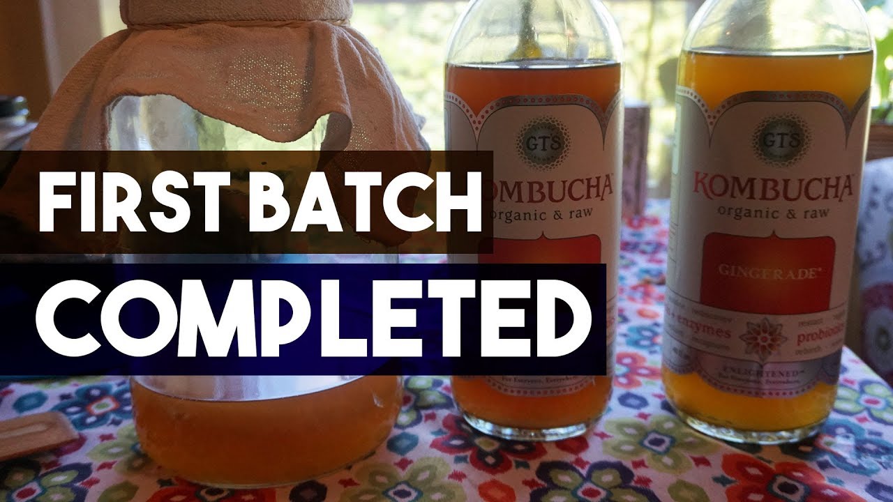 The first batch completed - YouTube