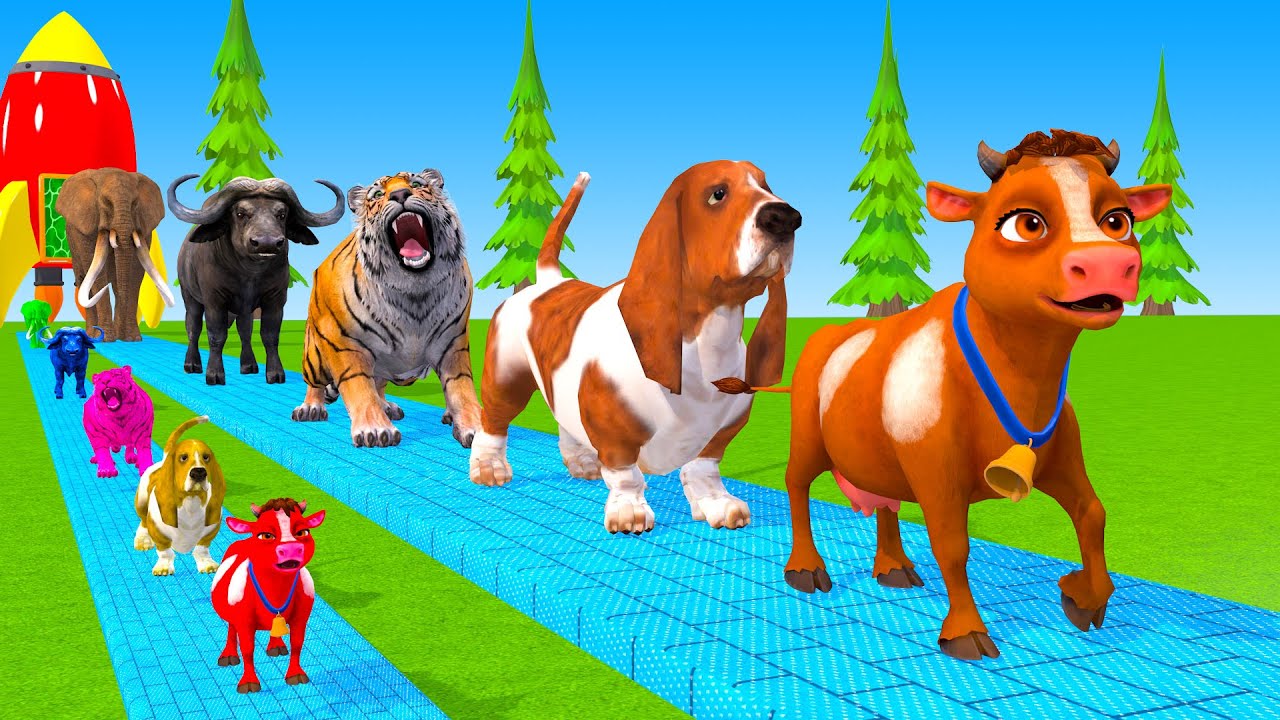 Long Slide Game With Cow Elephant Gorilla Hippopotamus Tiger 3d Animal ...