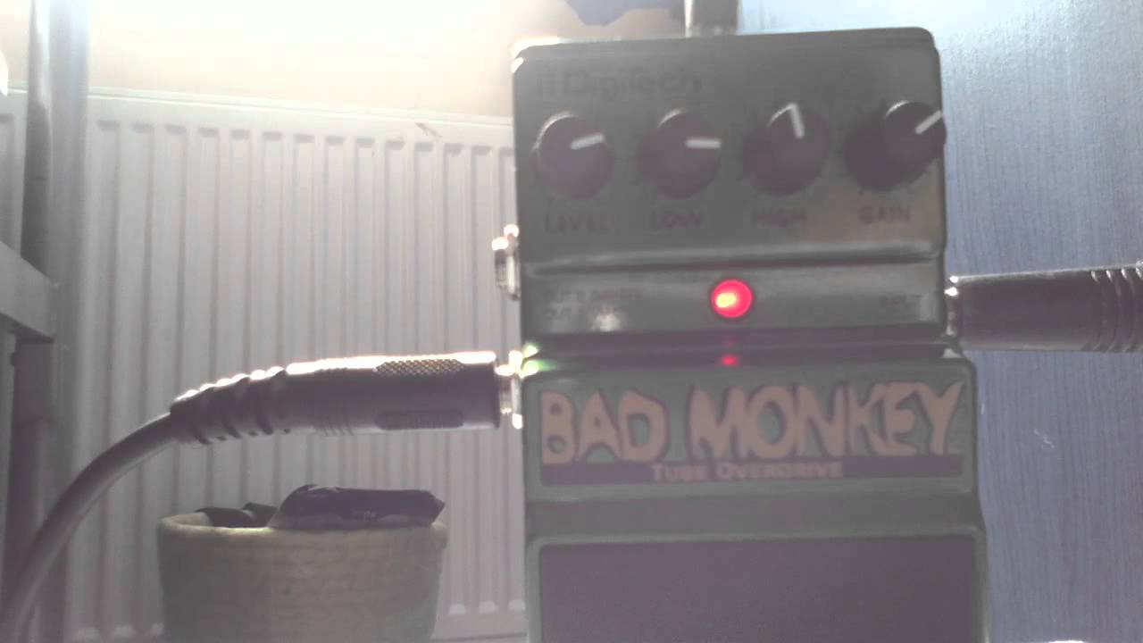 Unboxing the Bad Monkey Tube Overdrive Pedal by DigiTech - YouTube