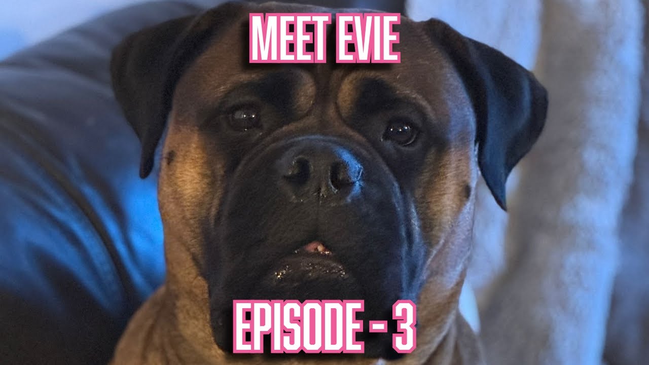 Meet Evie - Episode 3 - YouTube