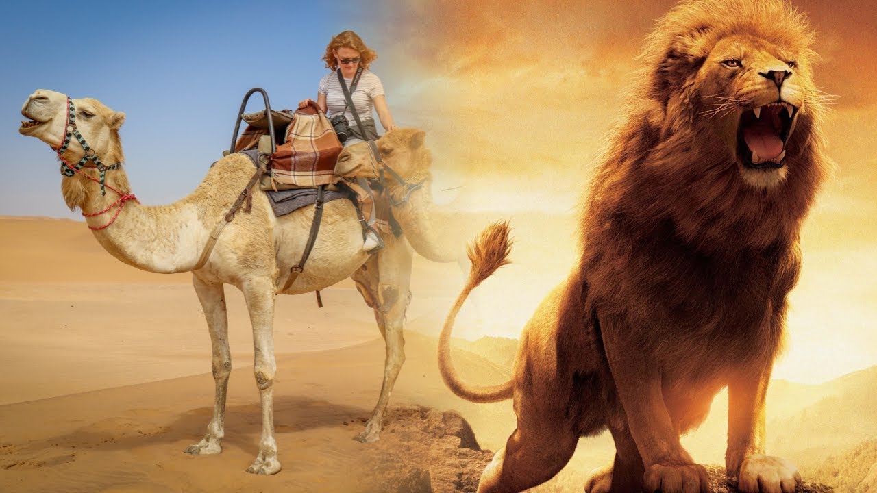 AMAZING ANIMALS & CALMING PLACE #beautiful #animals - YouTube