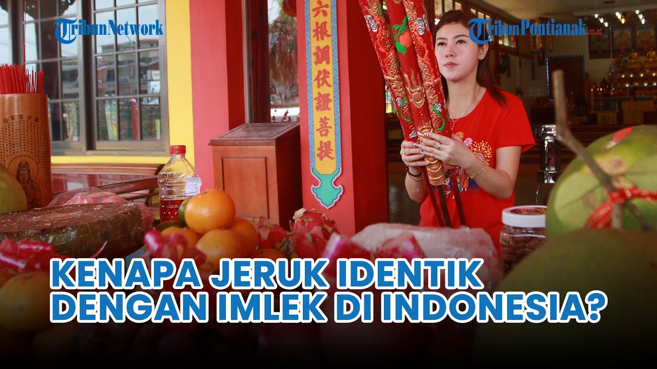 🔴 Kenapa Jeruk Identik dengan Imlek di Indonesia - YouTube