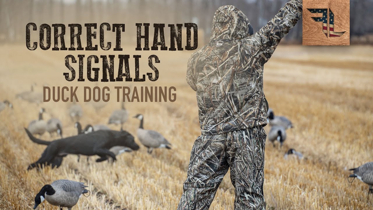 Correct Hand Signal - Duck Dog Training - YouTube