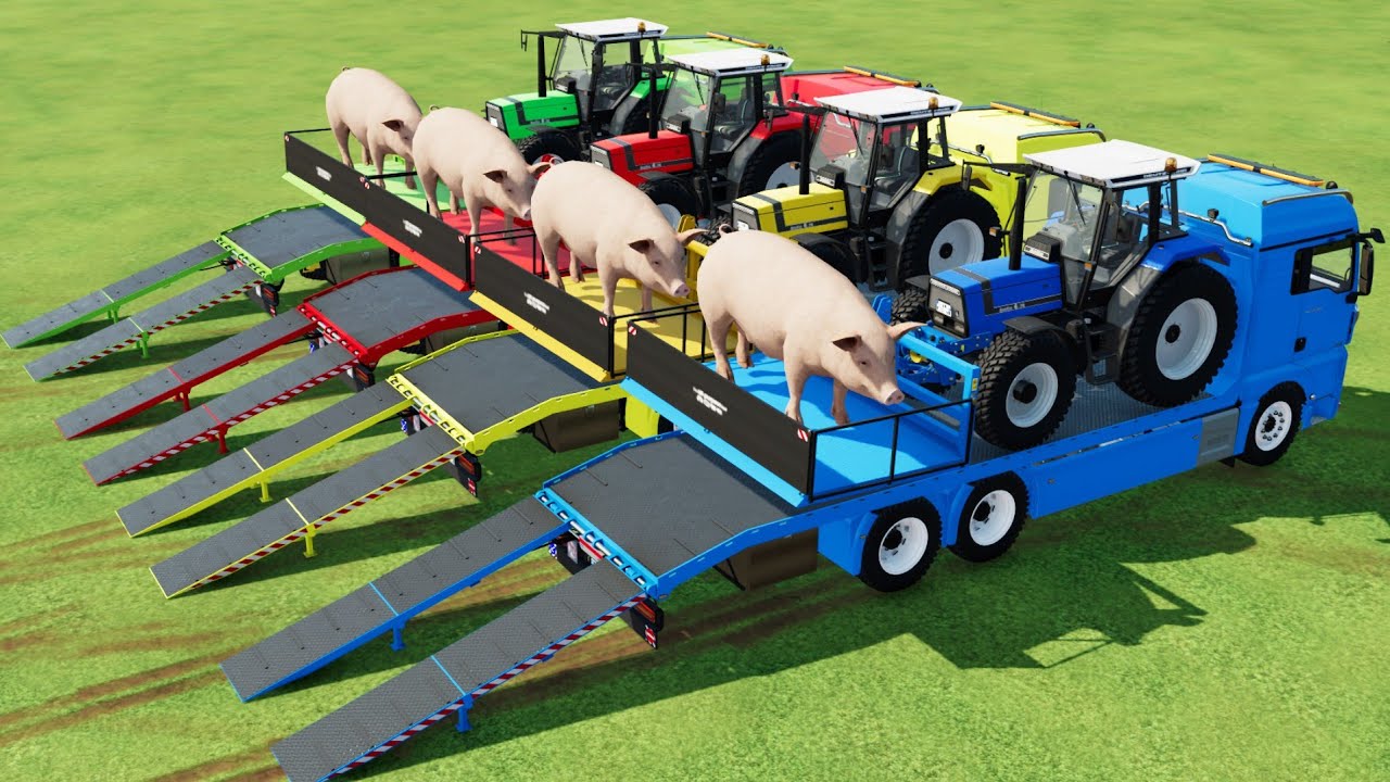 TRUCK OF COLORS! TRACTOR and PIG TRANSPORTING WITH TRUCK | FARMING ...