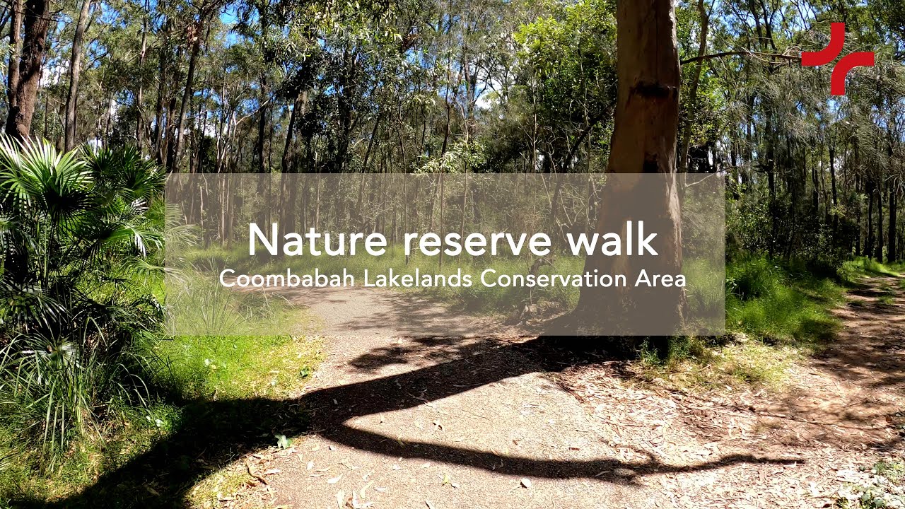 Relaxing nature reserve walk (Coombabah Lakelands Conservation Area ...