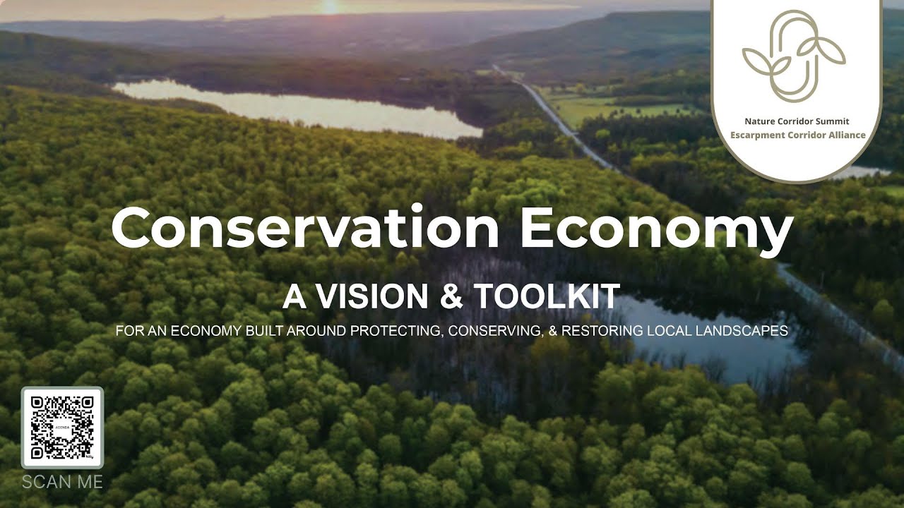 Conservation Economy with Dr Nat Knowles - YouTube