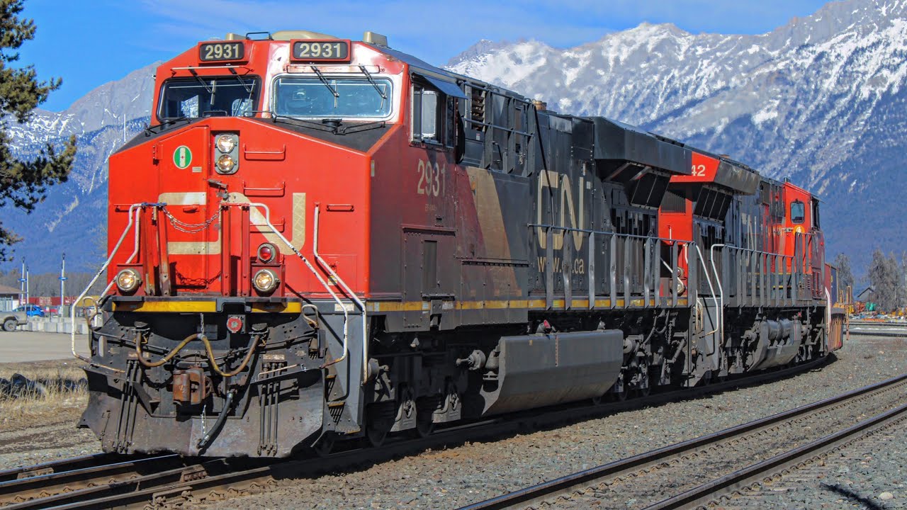 Elk vs 2 CN trains at Jasper Alberta on the CN Albreda Subdivision ...