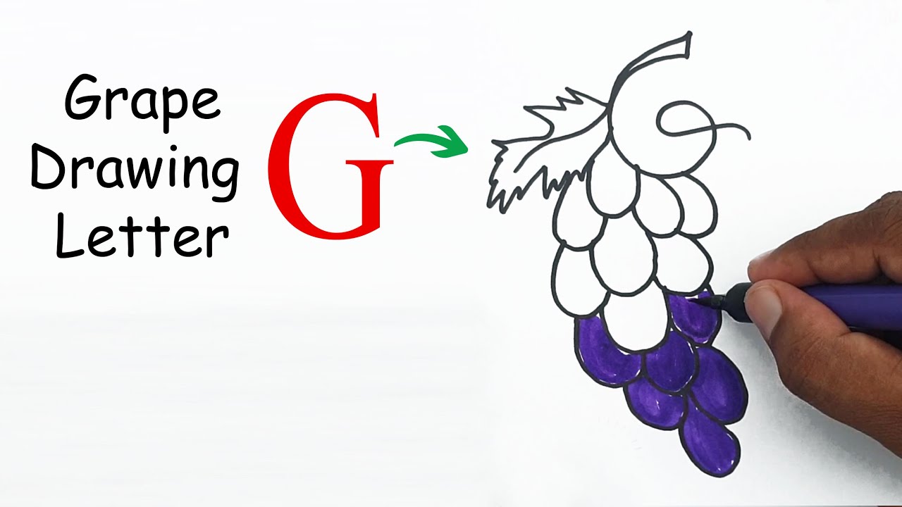 Easy Grape Drawing Letter 'G' | G for Grape Drawing | How to draw - YouTube