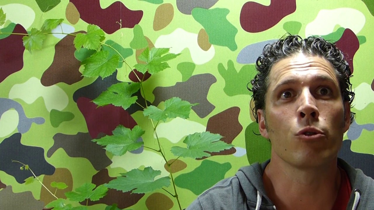 40 ans vus par Étienne Goulet - YouTube