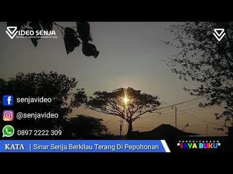 KATA: Sinar Senja Berkilau Terang di Pepohonan - Video Senja
