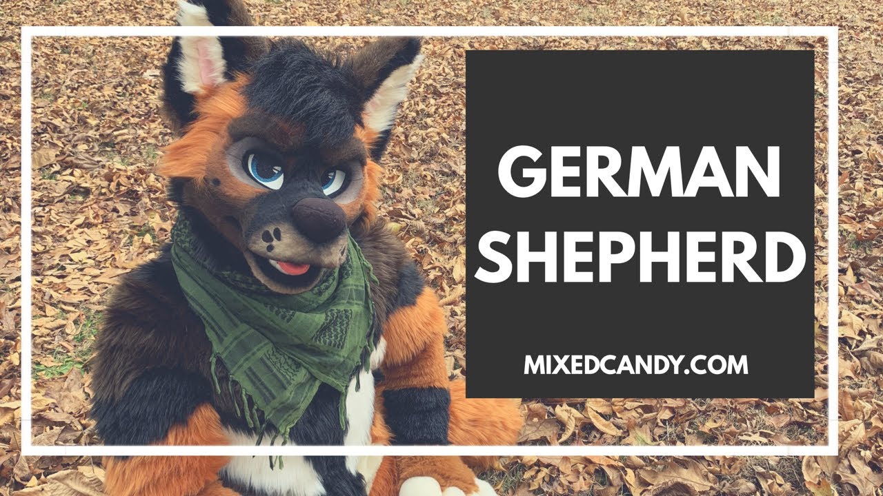 German Shepherd Fursuit by Mixedcandy - YouTube