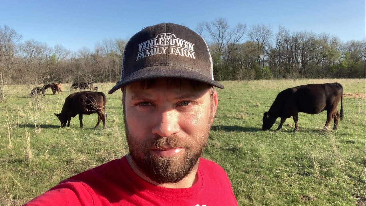 Spring Calving Season - YouTube