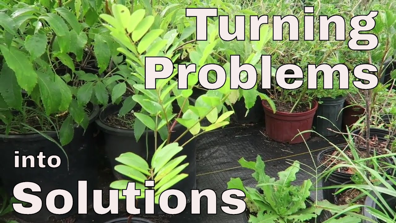 Turn Problems into Solutions - YouTube