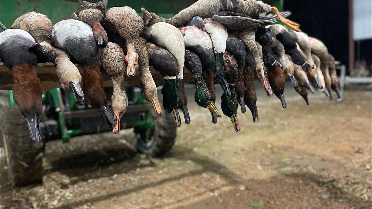 “Complete 180°” - YouTube