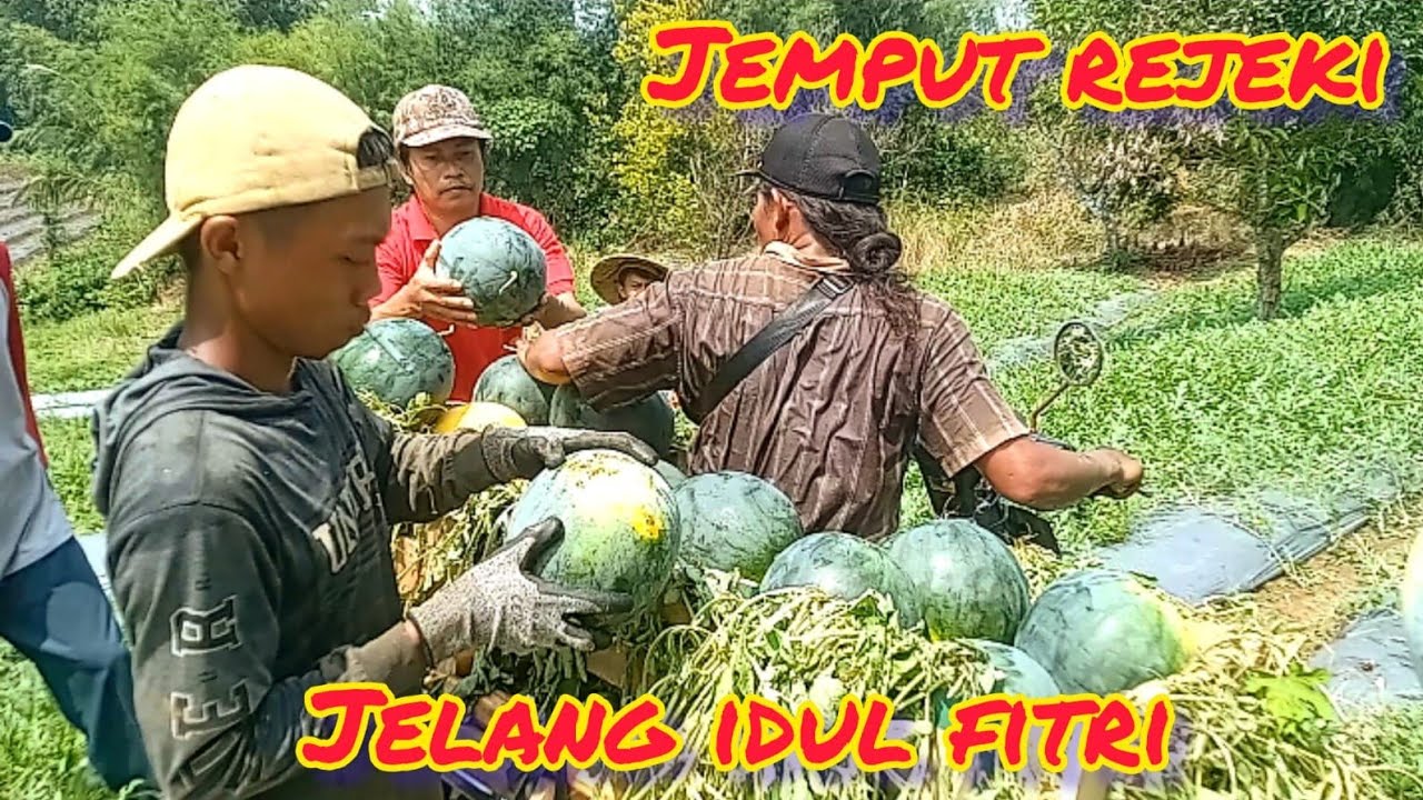 jemput rejeki jelang idul fitri - YouTube