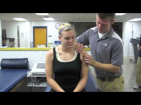 anterior load and shift - YouTube