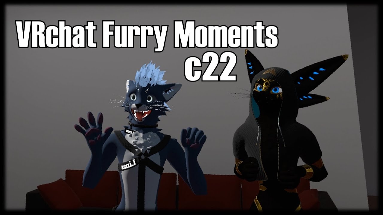 VRchat Furry Moments(22) - YouTube
