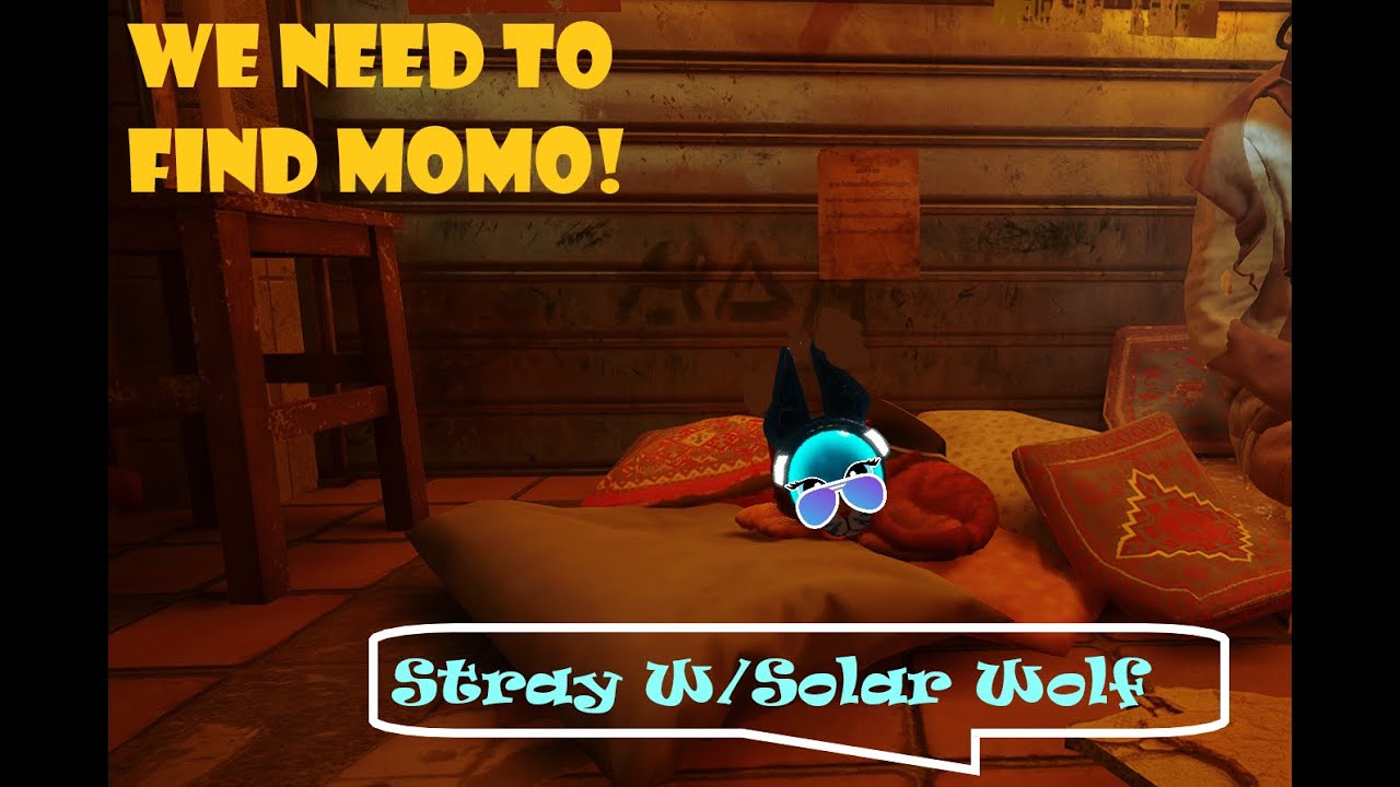 Finding Momo! Stray Pt. 3. - YouTube