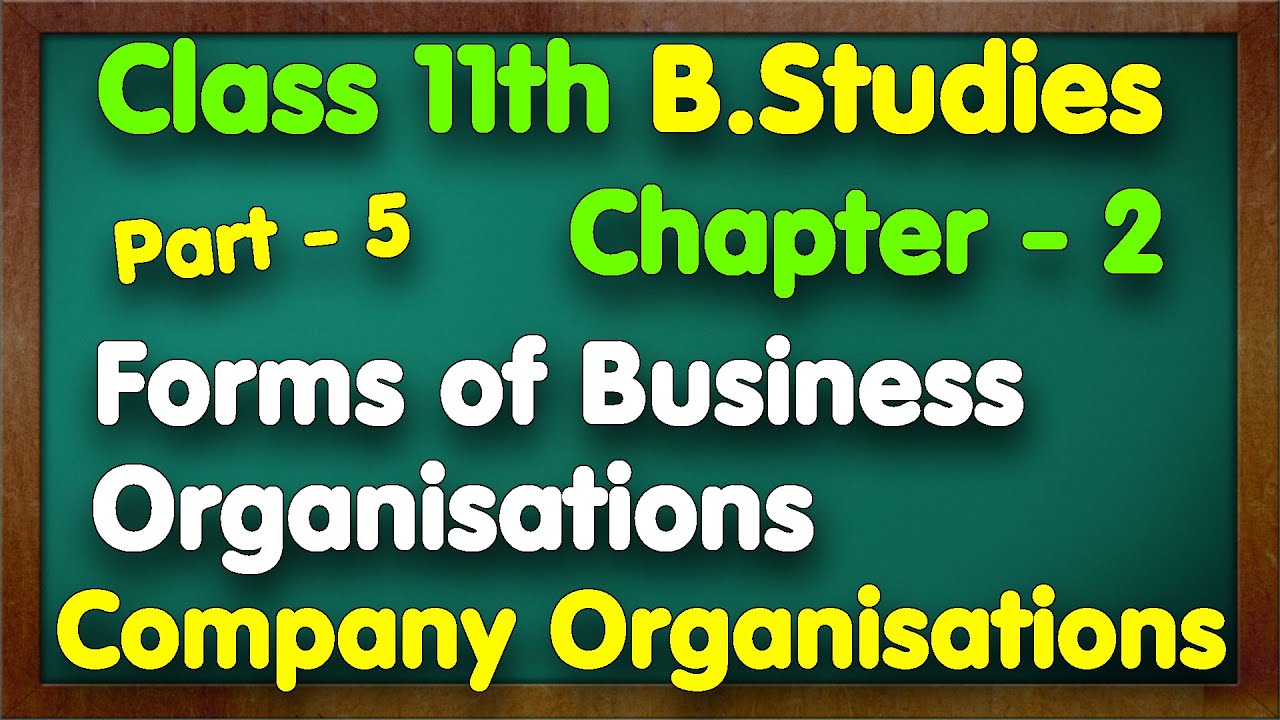 Forms of Bussiness Organisations Class 11 | Company | Business Studies ...