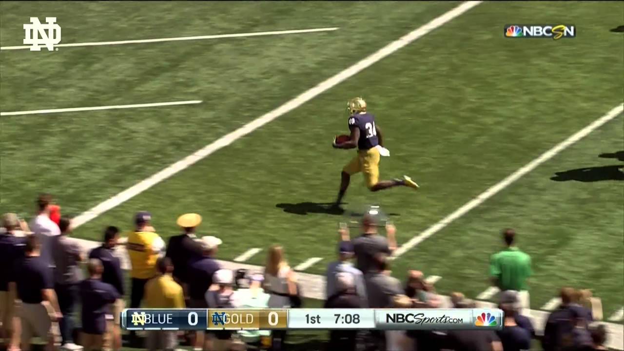 QUICK PLAYS - Dexter Williams TD - YouTube