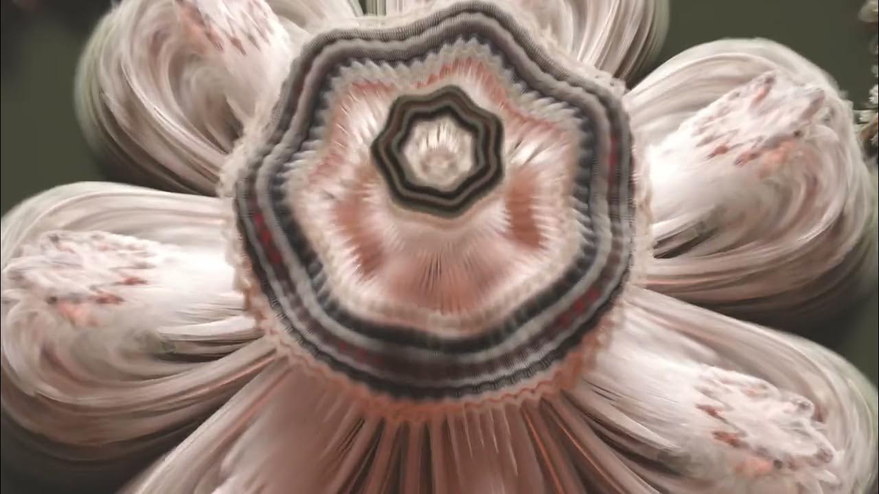 Volume - 3d fractal vj loops - YouTube