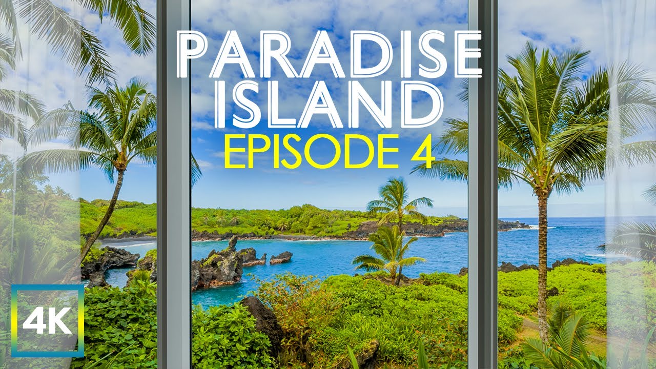 4K Paradise Island Window View - Calming Ocean Waves & Tropical Birds ...