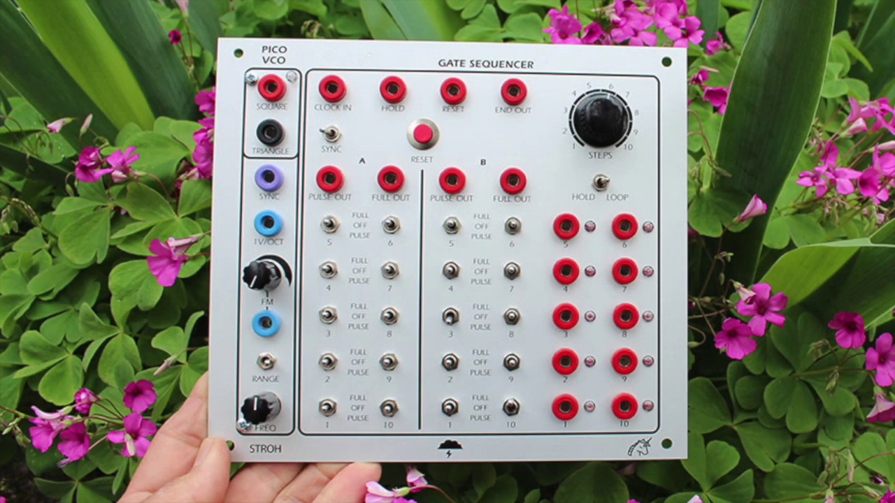 22 06 19 Scrotum Lab - M Class Pico VCO / Gate Sequencer [AUDIO RATE ...