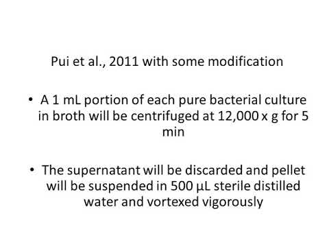 DNA extraction by boiling method - YouTube