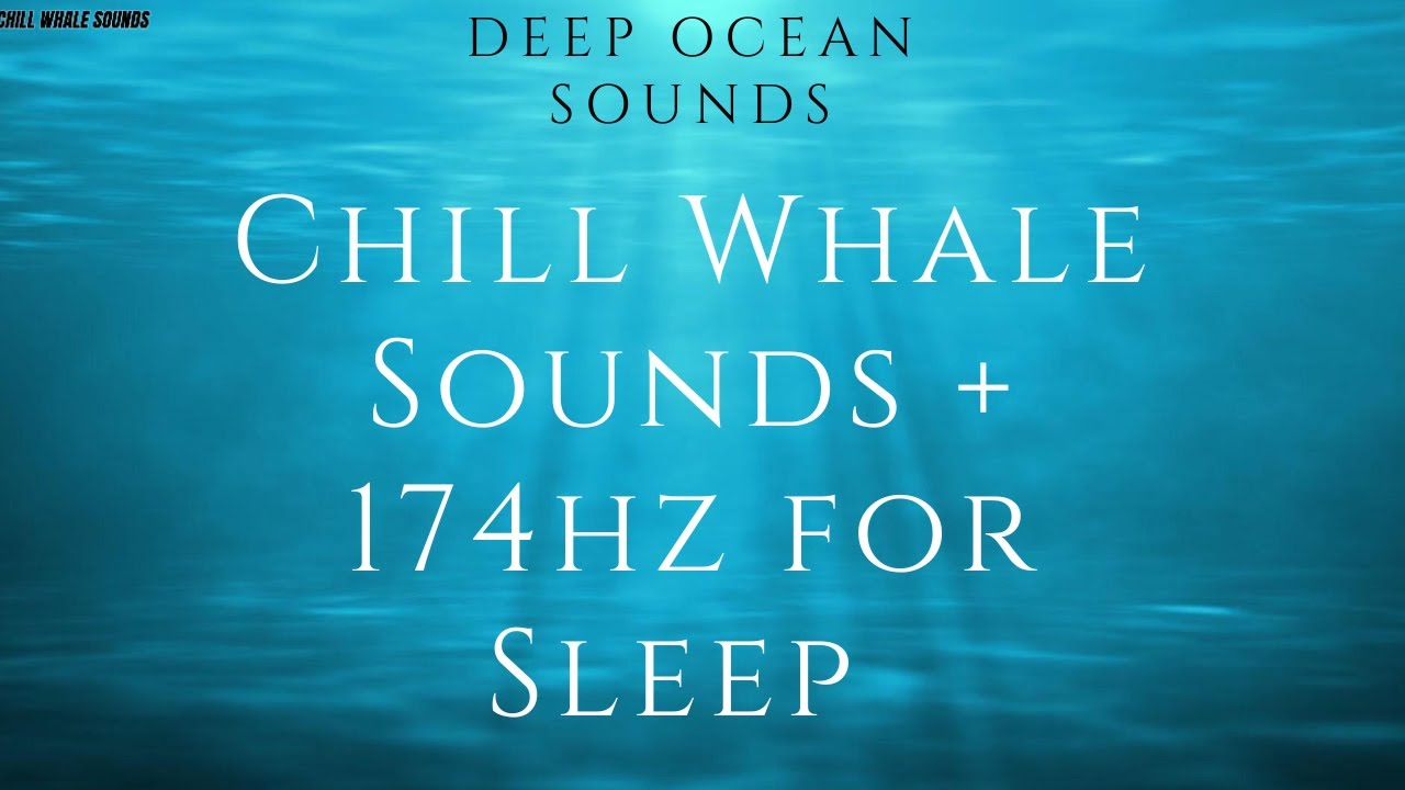 Chill Whale Sounds + 174hz Emotional Balance - YouTube