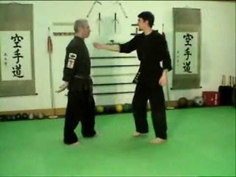 Kenpo Technique Demonstration - YouTube