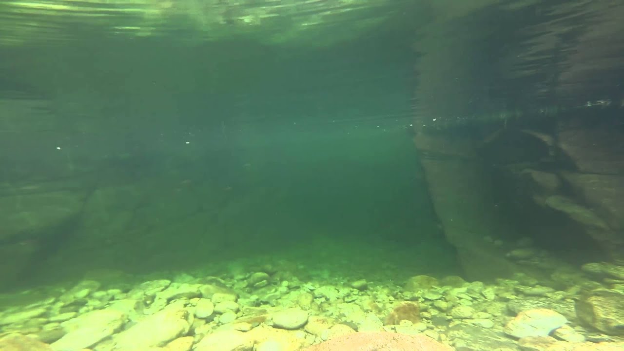 Rio Poio, Ribeira de Pena - Fundo lagoa 2 - YouTube