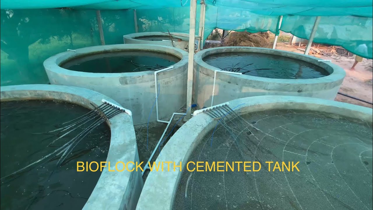 Bioflock system full video - YouTube