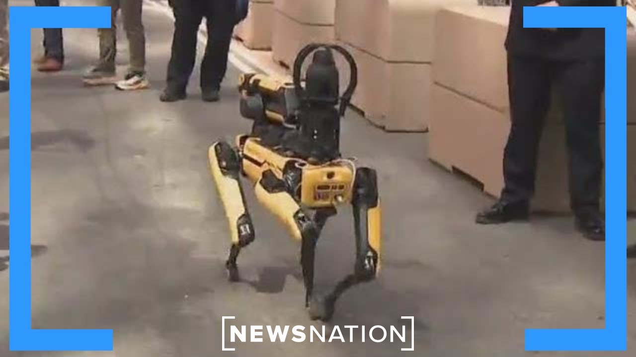 City council approves ‘robot dog’ for LAPD | NewsNation Now - YouTube