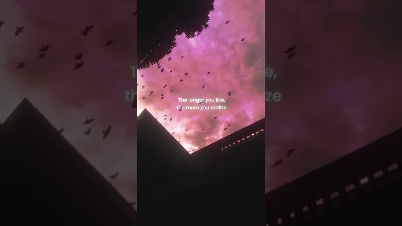 Wake Up To Reality lyrics madara uchiha YouTube wake-up-to-reality-lyrics-madara-uchiha-youtube