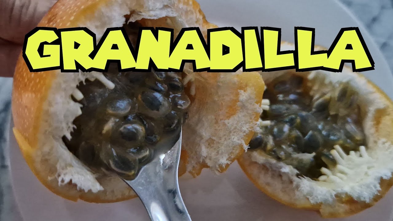 SWEET GRANADILLA! The Addictive Passion Fruit You Need to Try ...