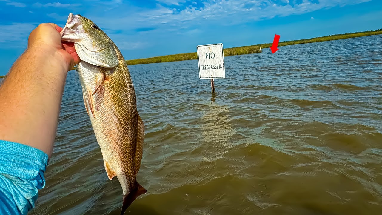 The EASIEST Way to Catch LIMITS of REDFISH (CATCH/CLEAN/COOK) - YouTube